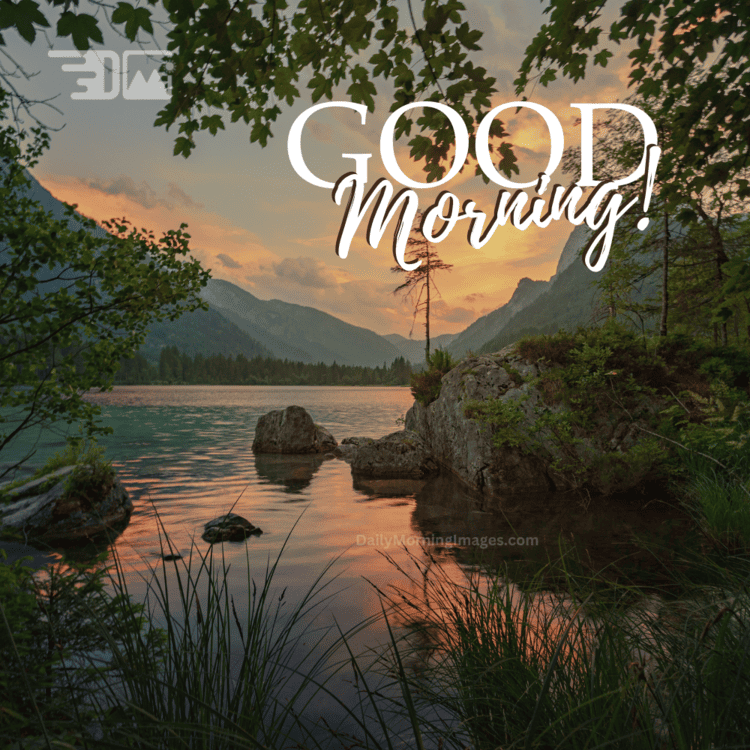 Good Morning Nature Images Free Download - DailyMorningImages