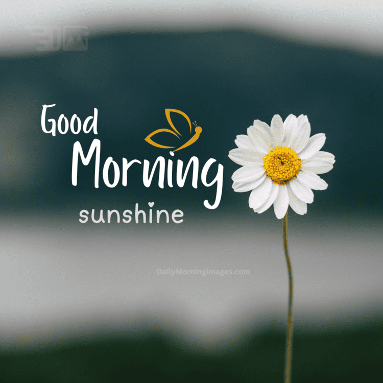 good morning images Free download - DailyMorningImages