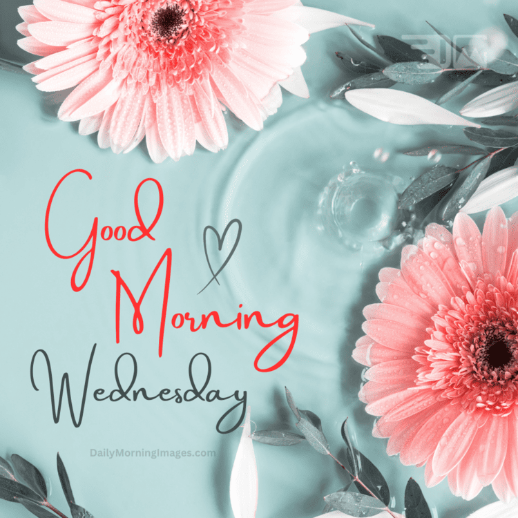 Good Morning Wednesday Images Free Download - DailyMorningImages