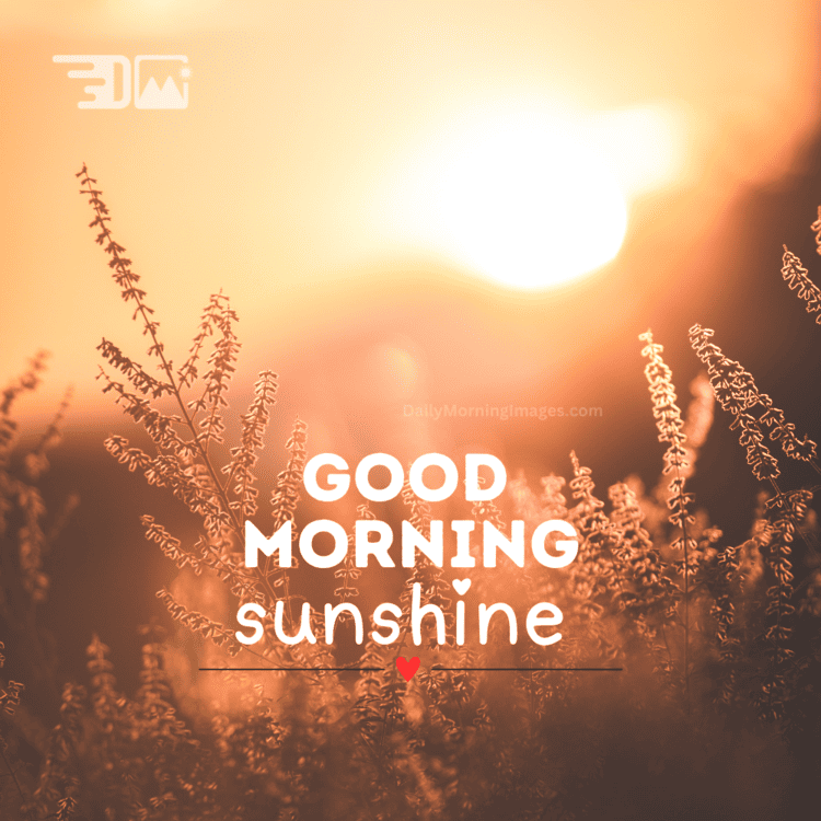 Good Morning Sunshine Free Download - DailyMorningImages